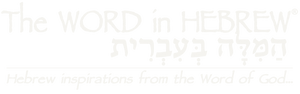 The Complete Hebrew Pronunciation Chart - Digital Download – The WORD ...