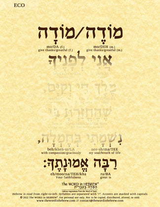 Modeh Ani Prayer in Hebrew - Print – The WORD in HEBREW